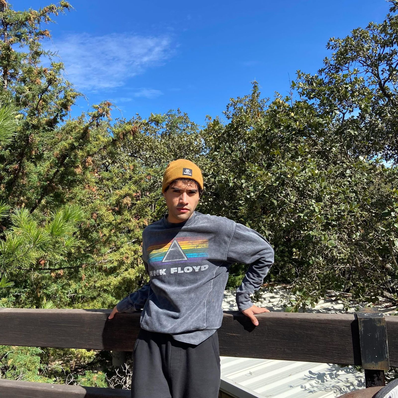 TraceLab - Metales Pesados en Hortalizas (Cd · Pb)